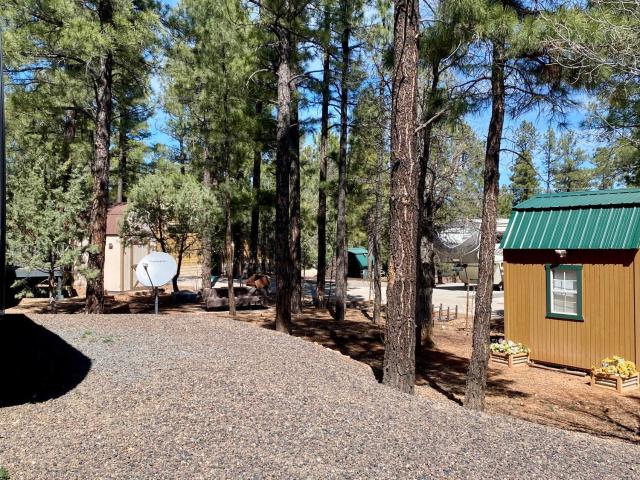 3650 Latigo Way