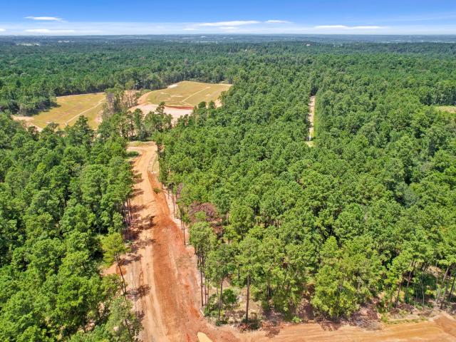 3653 Augusta Dr, Montgomery, TX 77316 | MLS #55939 | Compass