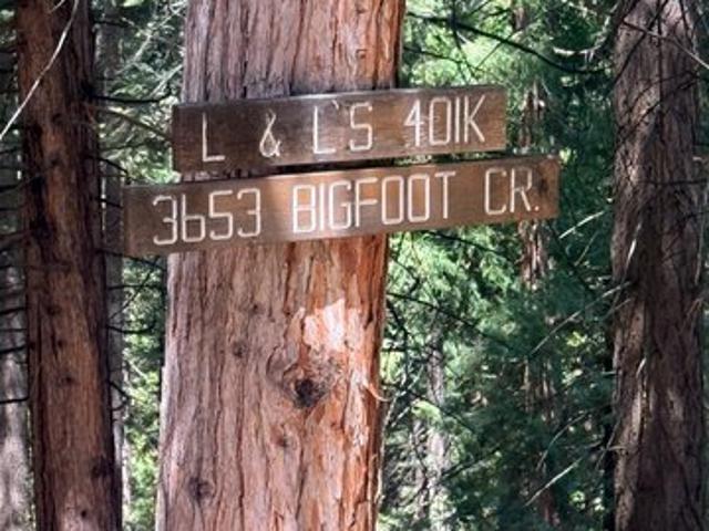 3653 Bigfoot Cir, Arnold, CA 95223