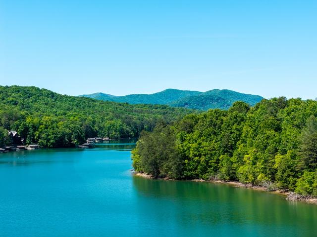 365 Lower Star Creek Rd, Morganton, GA 30560 | MLS #418957