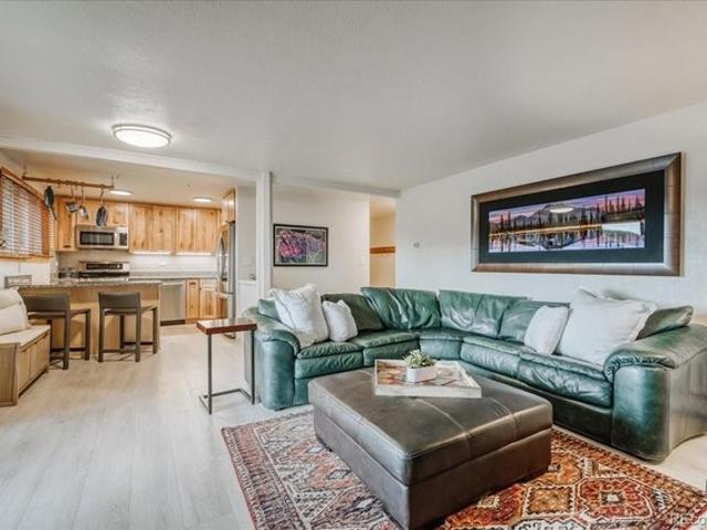 365 Salt Lick Cir, Silverthorne, CO 80498