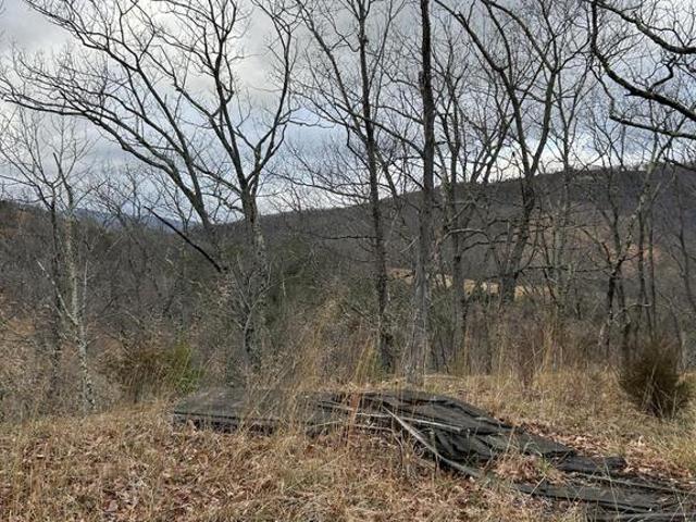 365 Strauter Road