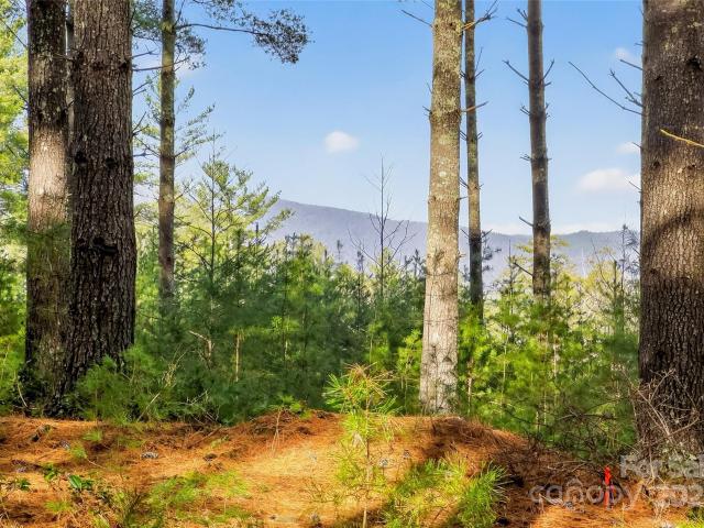 365 Peninsula Reserve Rd, Unit 25, Nebo, NC 28761 | MLS #4327 | Compass