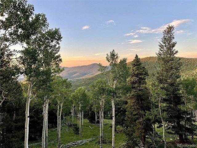3665 Beaver Brook Canyon Rd, Evergreen, CO 80439