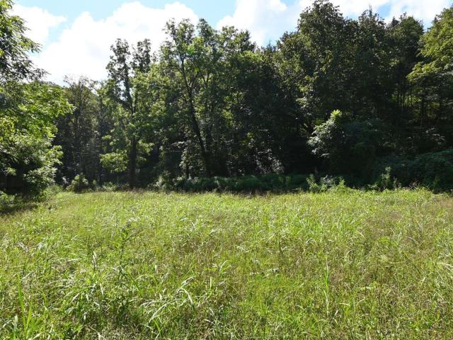 3665 Fisher Valley Rd