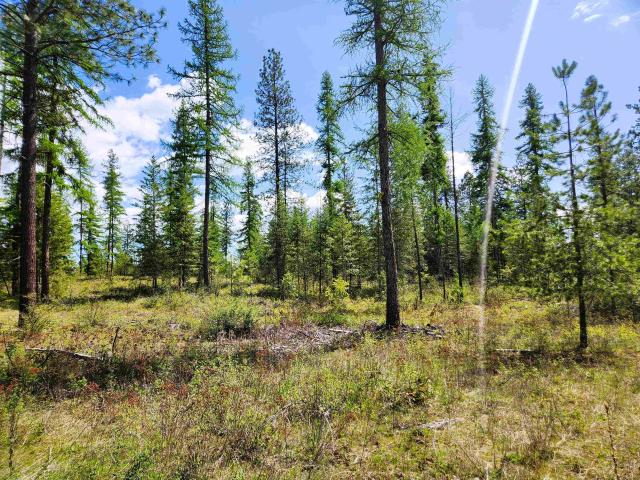 3669 W Jump Off Joe Rd, Valley, WA 99181 | MLS #202614