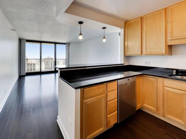 3660 n lake shore drive # 3307