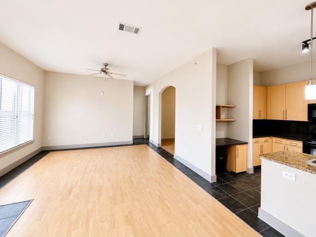 3660 Richmond Avenue 309