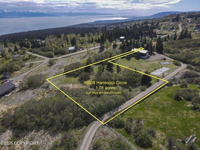 36610 Hammock Cir, Homer, AK 99603