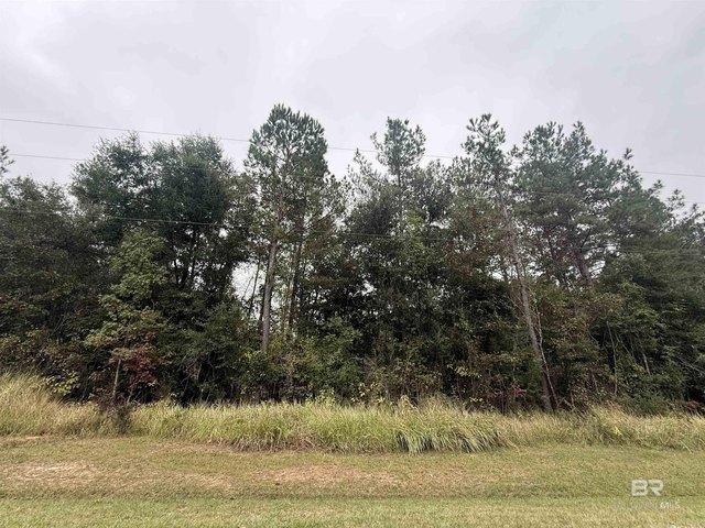 36636 Legacy Way Lot 1, Bay Minette, AL 36507