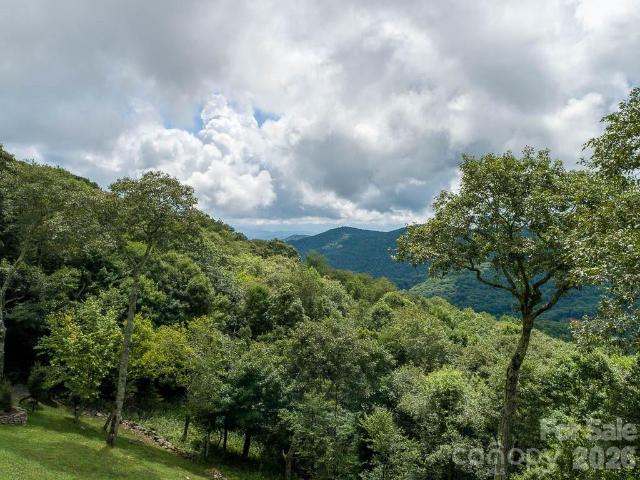 366 Birch Springs Lane # 366