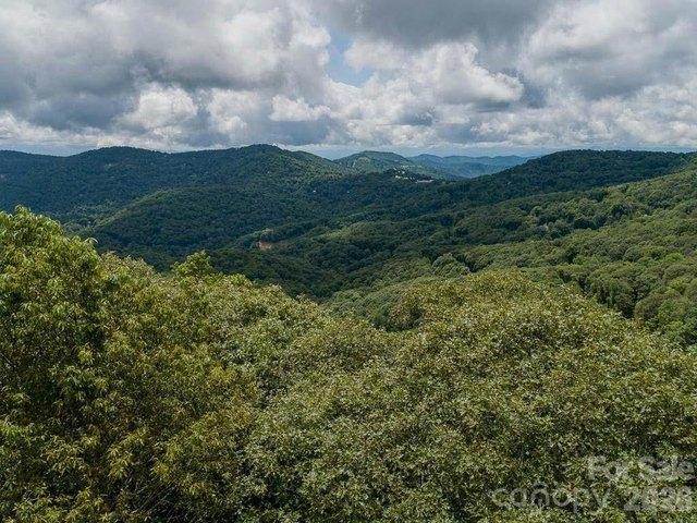 366 Birch Springs Ln Unit 366, Mars Hill, NC 28754