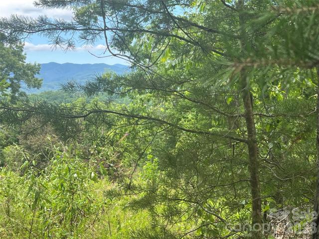 366 Dobsons Knob Loop # 7