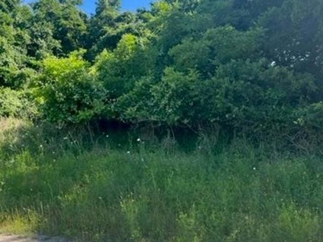 366 Riverside Dr, Bastrop, TX 78602