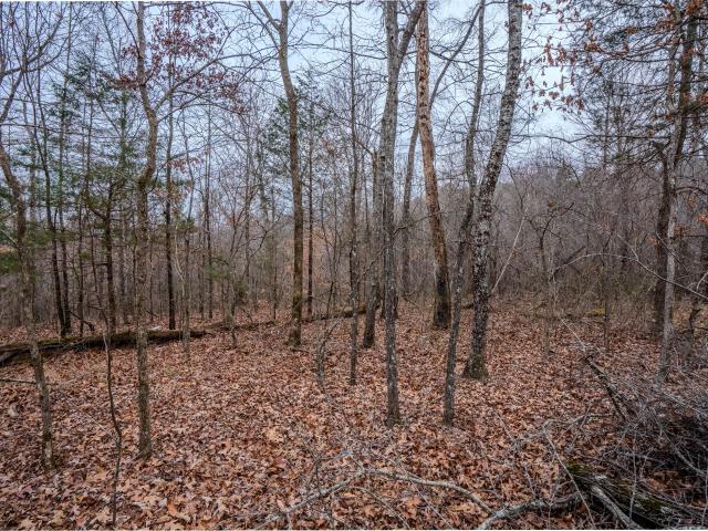 366 Ridge Rd
