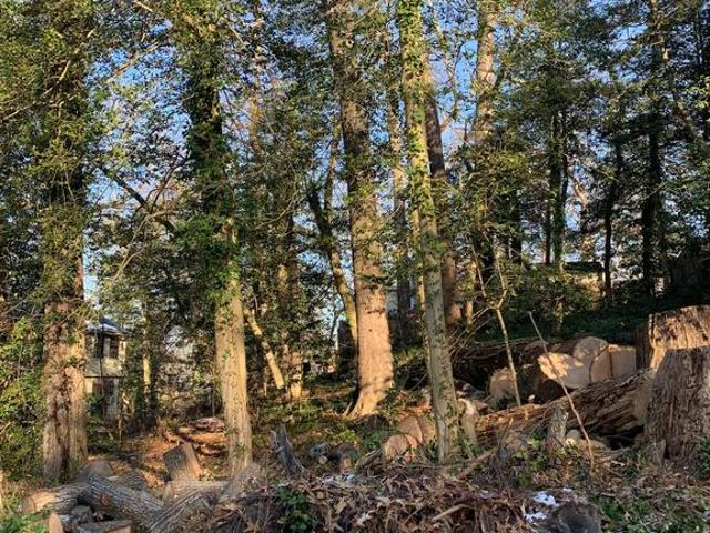 366 Walnut Trail