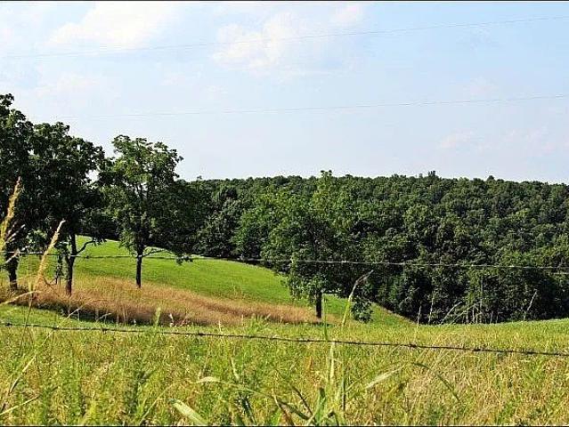 3673 Grassy Gap Rd, Harrison, AR 72601