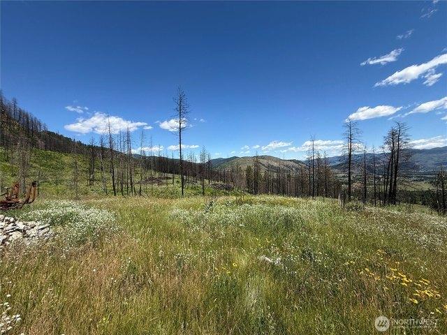 367 4th of July Creek Rd Lot 31, Danville, WA 99121