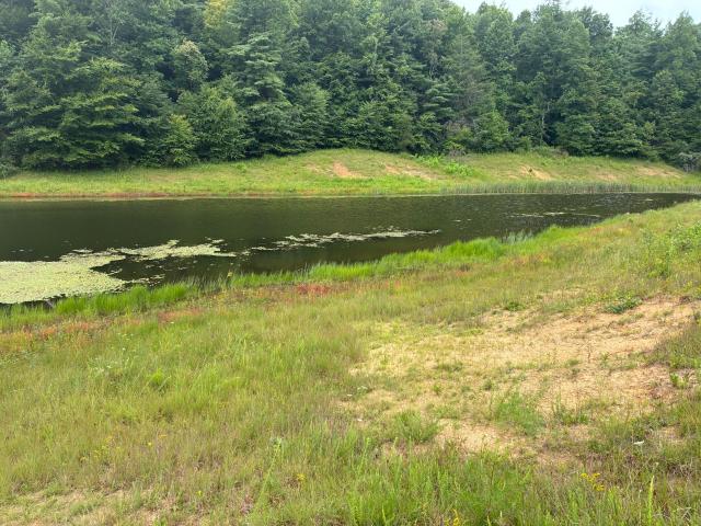 367 Banks Branch Road # 2