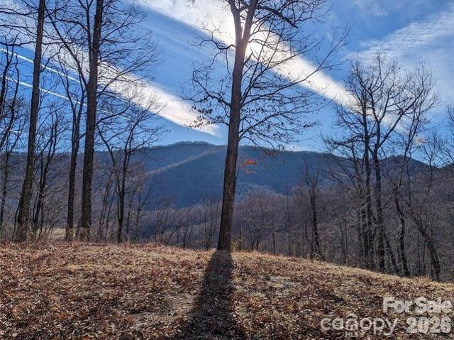367 Kestrel Ln Unit T85, Black Mountain, NC 28711