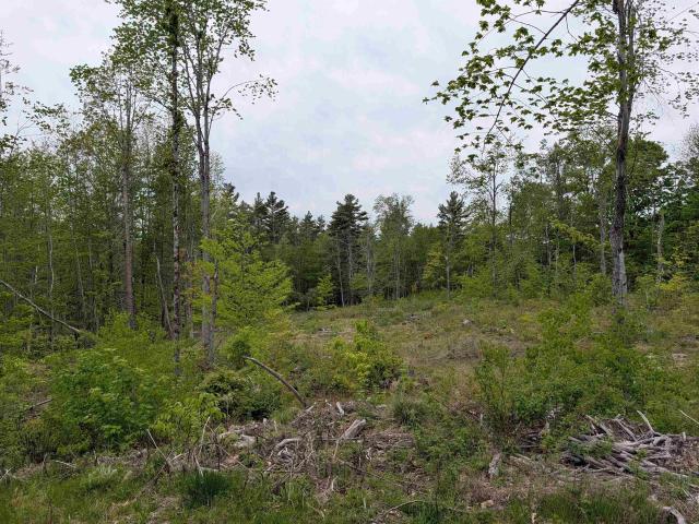 367 Height of Land Road