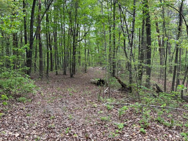 367 Leggett Rd, Sale Creek, TN 37373 | MLS #1532