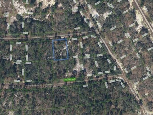 367 Whispering Ave, Lake Placid, FL 33852
