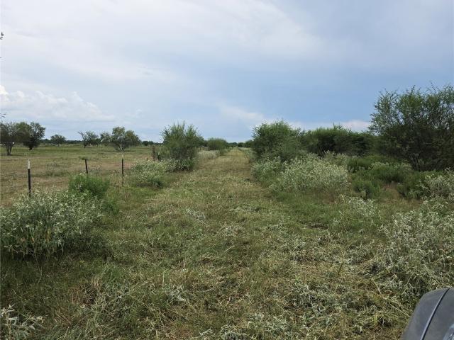 36847 Richard Frey 1 Road 1