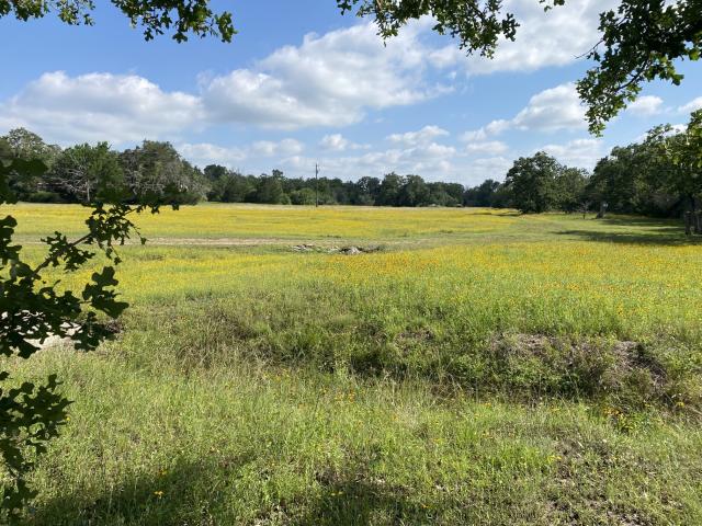 3685 Nixon Lake Road