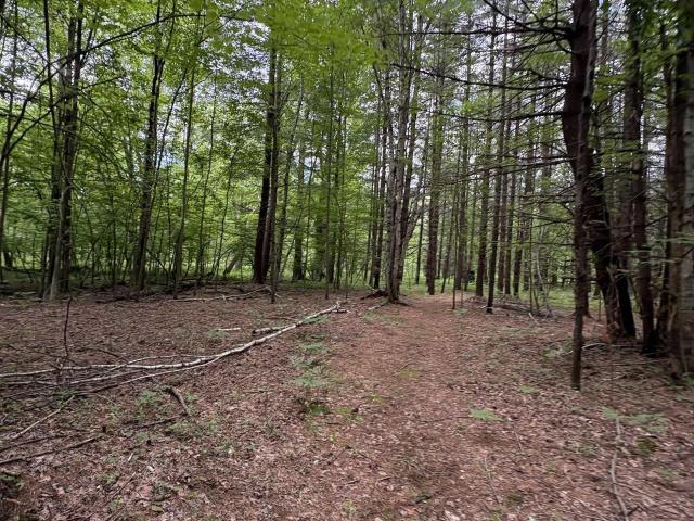 3680 Wieman Road