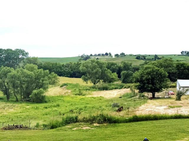 36813 State Highway 37