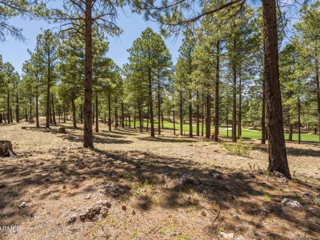 3681 S Woodland Hills Drive # 363