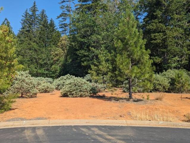 368 Cedar Ridge Dr, Cave Junction, OR 97523