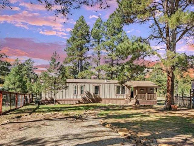 368 Fireside St, Pagosa Springs, CO 81147