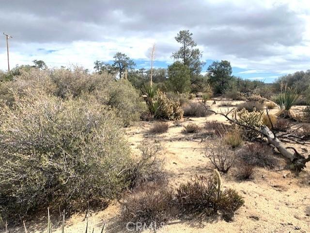 368 Palm Canyon Drive