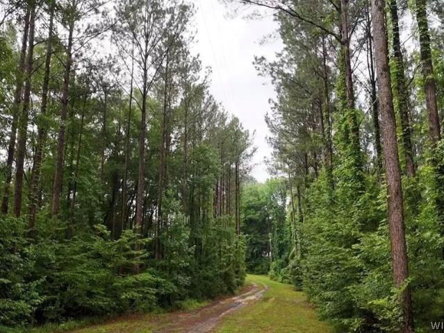 368 River Road