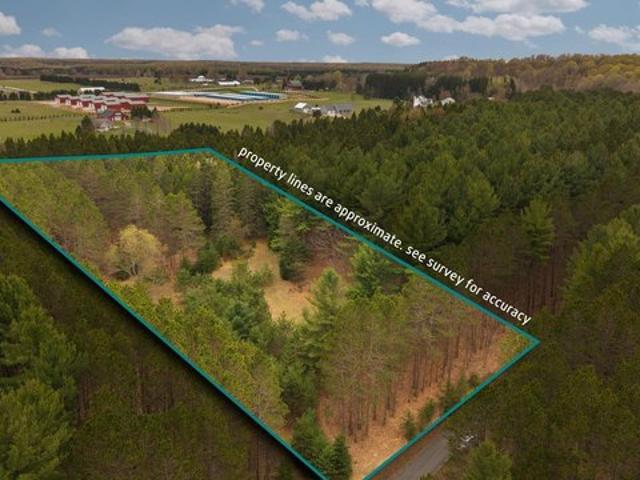 3695 W Timber Ln, Empire, MI 49630