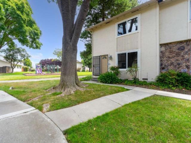 3696 Woodbine Way
