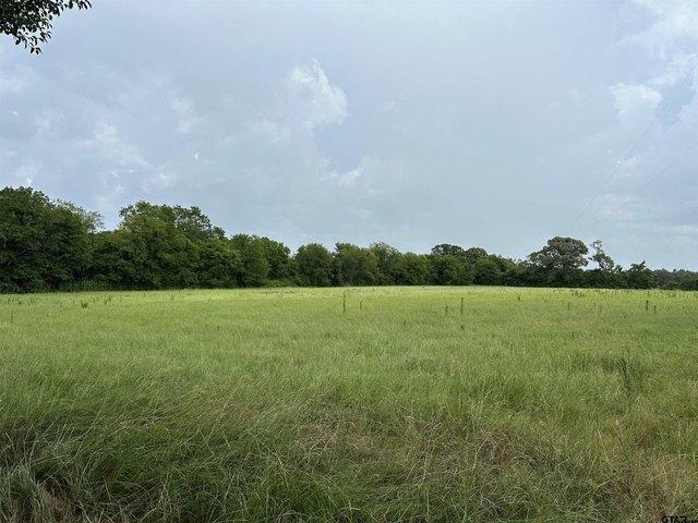3697 An County Road 309 # 2, Frankston, TX 75763