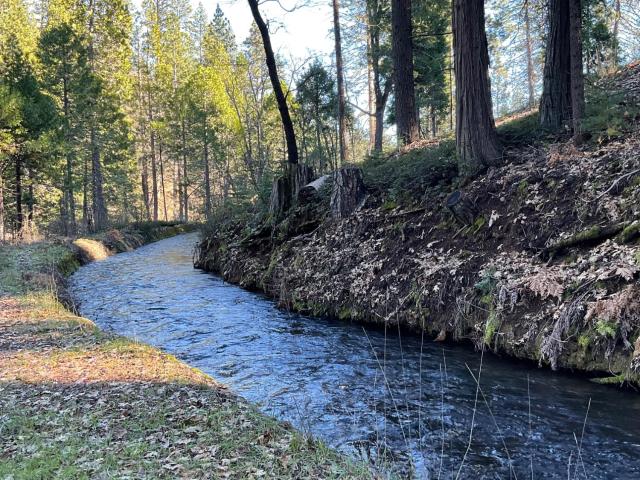 369 Canyon View Dr, Murphys, CA 95247 | MLS #226600