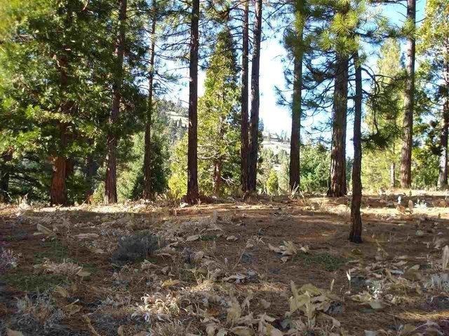 369 Big Grizzly Rd, Portola, CA 96122