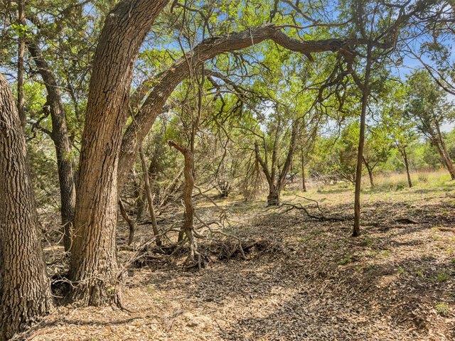 369 Onion Creek Ln, Blanco, TX 78606