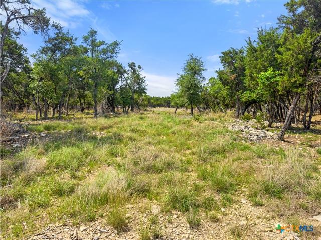 369 Onion Creek Lane