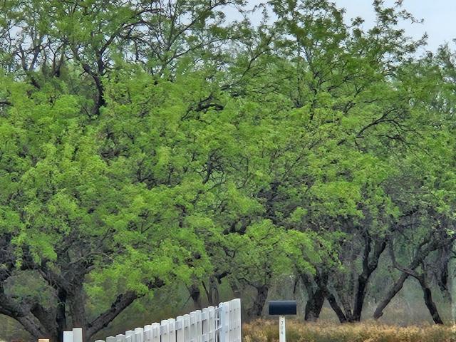 369 S Peach Ln, Camp Verde, AZ 86322 | MLS #7012 | Compass