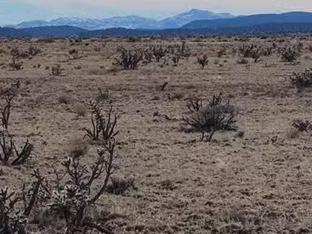 36 73 Acre Parcel #, Seligman, AZ 86337 MLS 197706