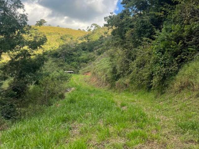 36.000m2 na Serra da Mantiqueira com VISTA, mata preservada e RIO no tereno