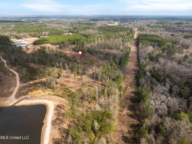 36.08 Acres Placid Dr, Sumrall, MS 39482 | MLS #4155