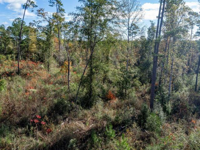 36.08 +/ Acres Placid Drive