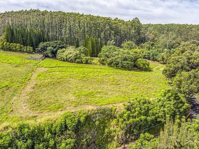 36 2615 Laupahoehoe Point Rd, Laupahoehoe, HI 96774