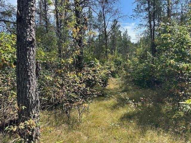 36.34 Ac Retirement Ln, Necedah, WI 54646